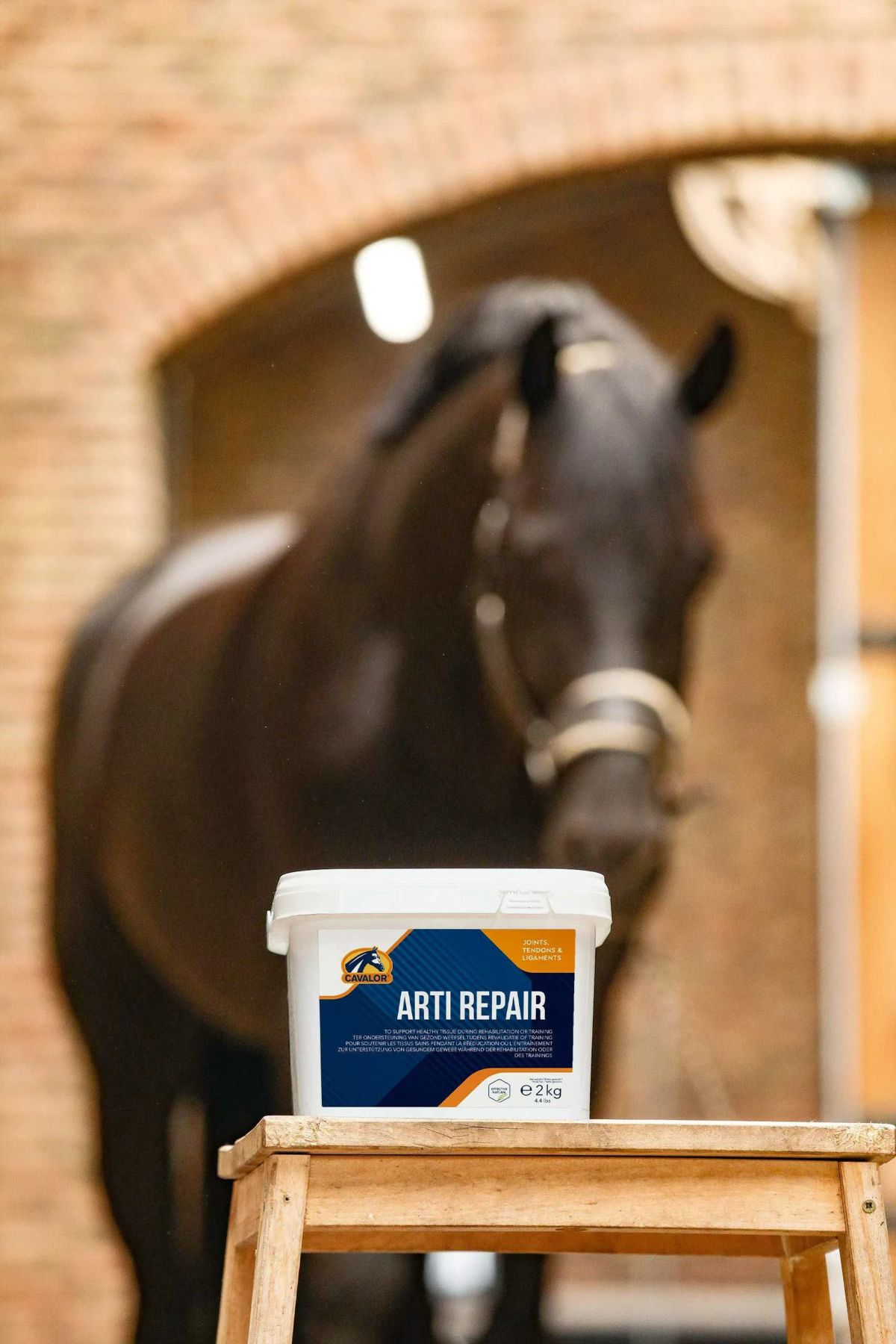 CAVALOR | 【HORSE LOVER kc. オンラインストア】